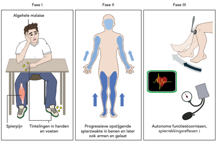 Pocket Neurologie – Compendium Geneeskunde