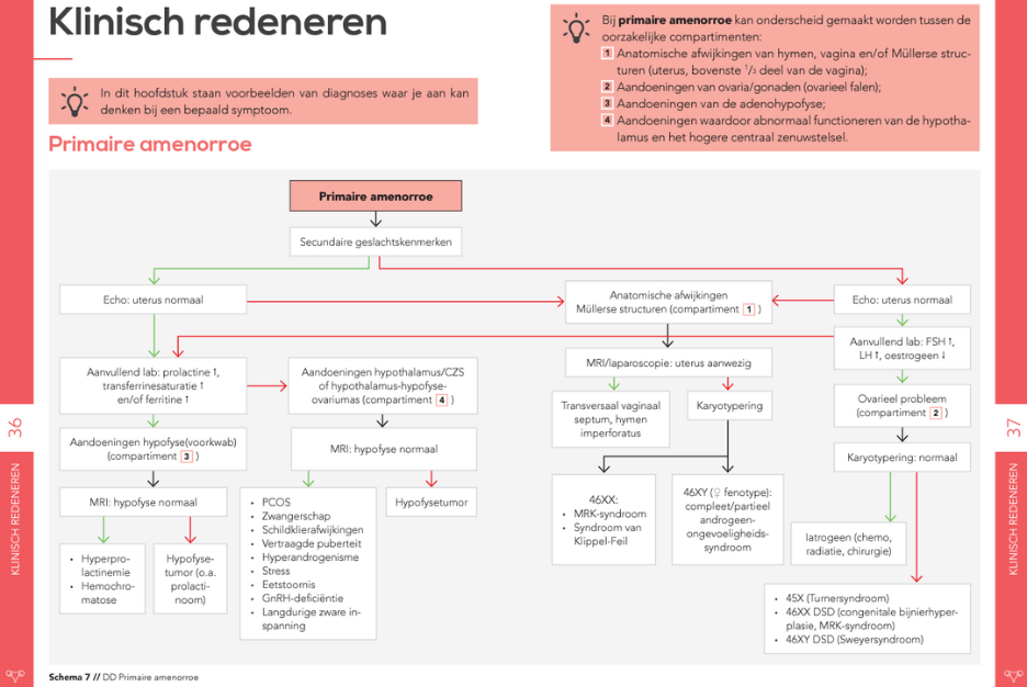 Pocket Gynaecologie en obstetrie (2023) – Compendium Geneeskunde